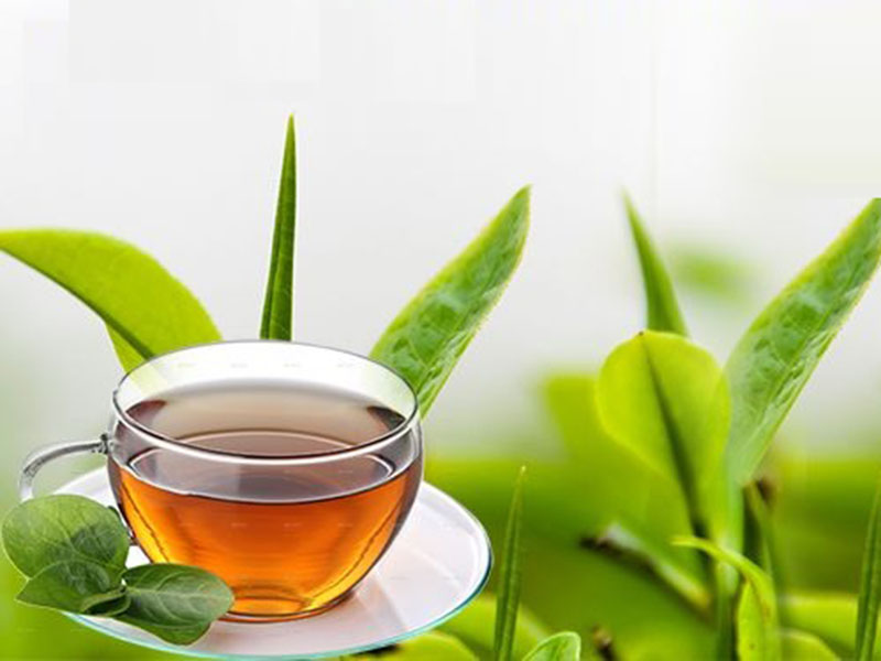 Ceylon Tea Archives - Mihilas Ceylon